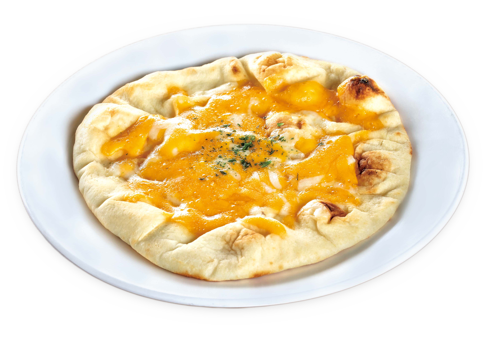 Main Menu – CoCo Ichibanya USA